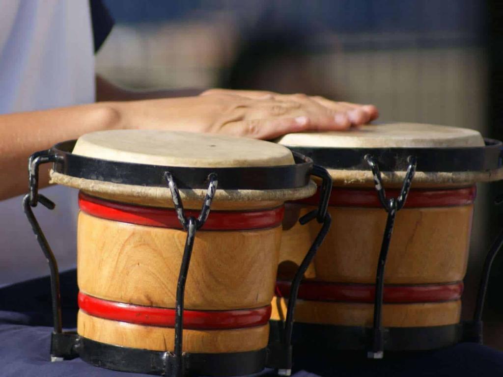Beginners World Drumming Course • Waltons New School of Music