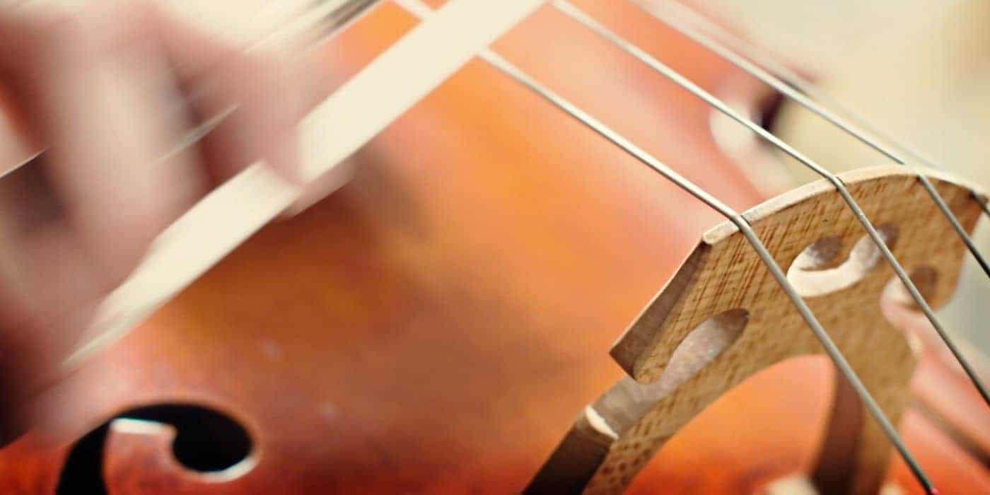 Waltons New School of Music • A Comprehensive Music Centre