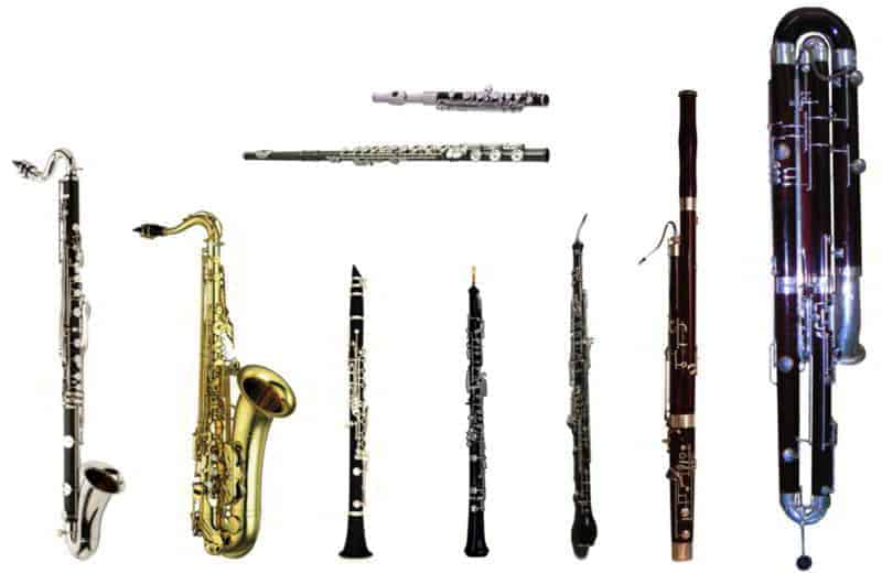Wind Instruments Tuition • Waltons New School of Music