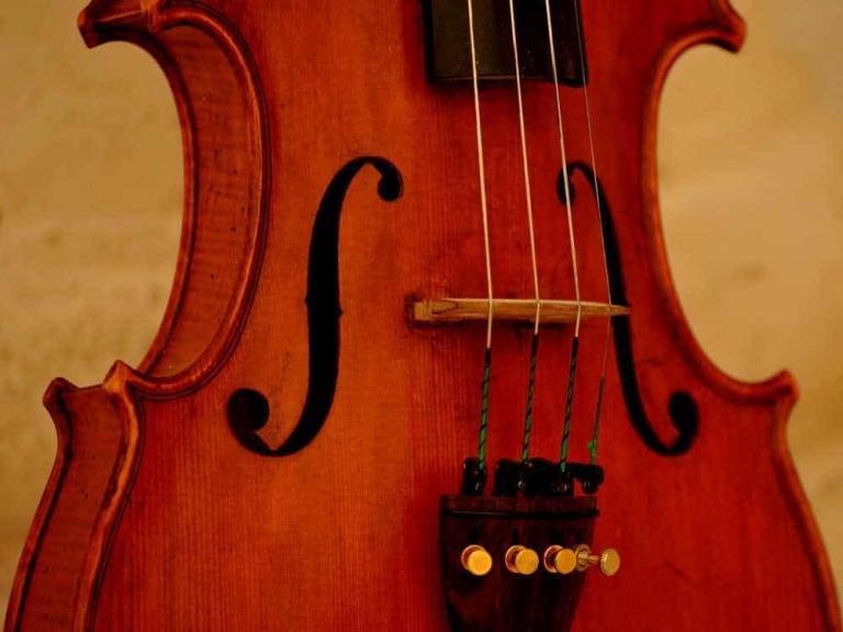 Beginners Irish Fiddle Course • Waltons New School of Music